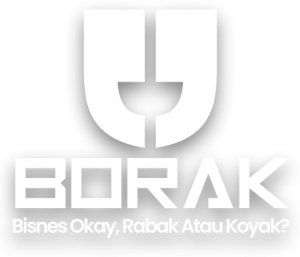 BORAK | Bisnes Okay, Rabak Atau Koyak?